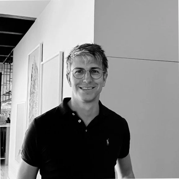 Professionals Profiles — BRIKS