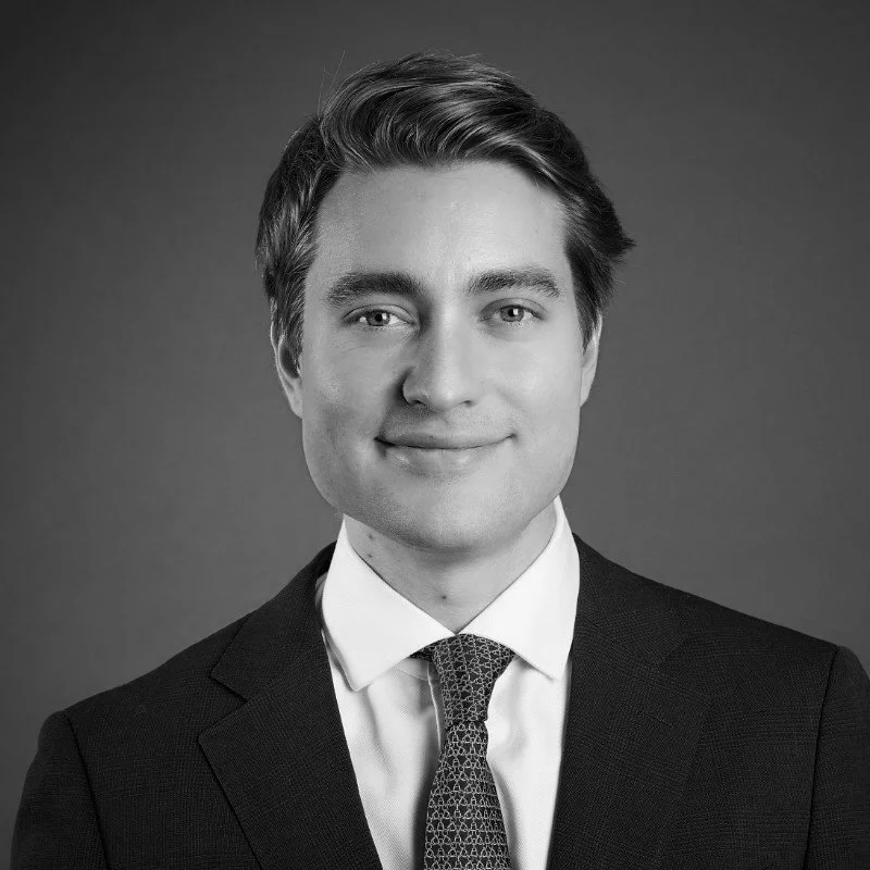 Professionals Profiles — BRIKS