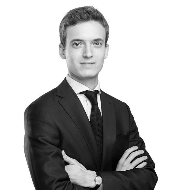 Professionals Profiles — BRIKS