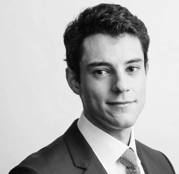 Professionals Profiles — BRIKS