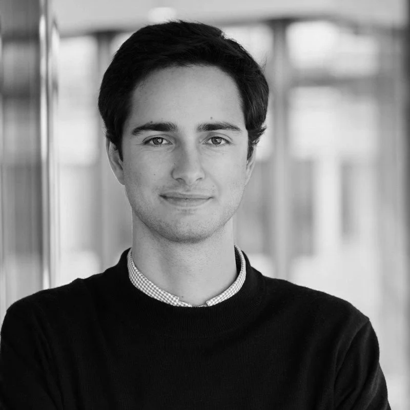 Professionals Profiles — BRIKS