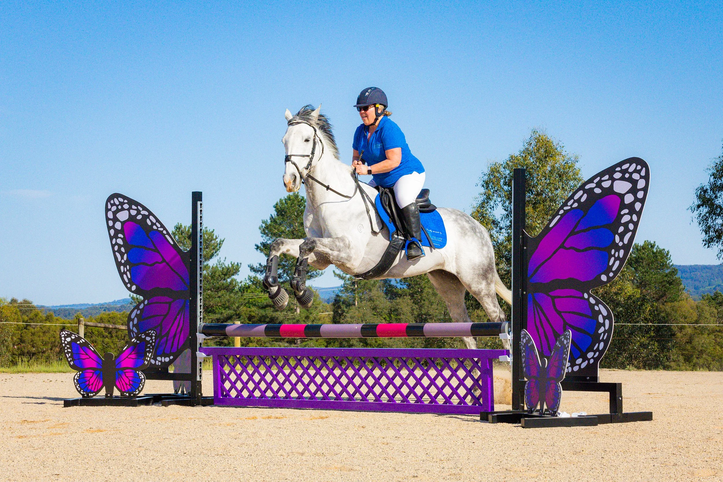 TAKE-OFF Showjumps and arena equipment