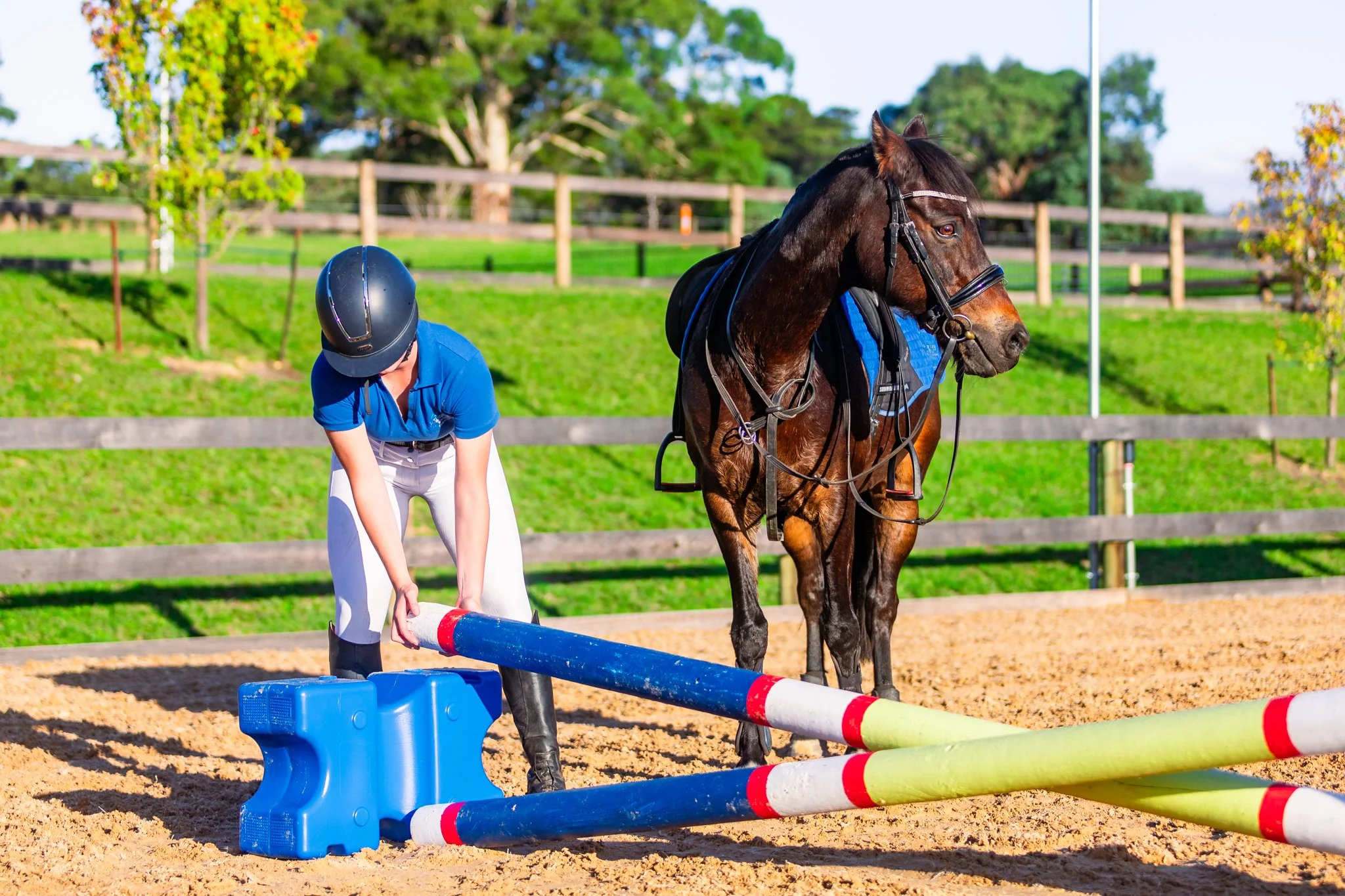 TAKE-OFF Showjumps and arena equipment