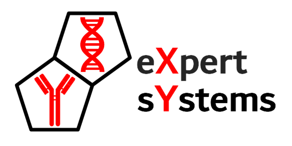 Expert Systems Home