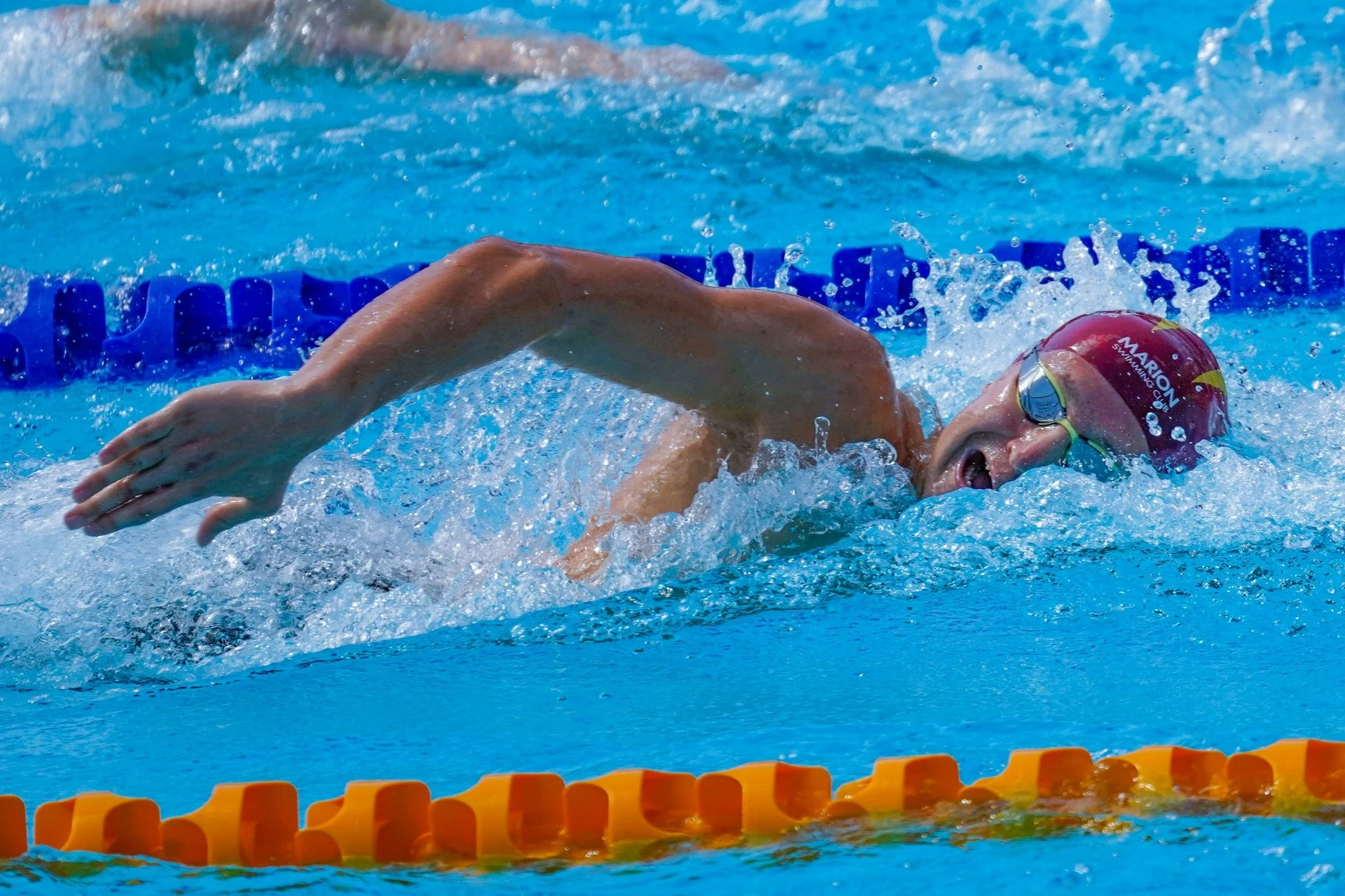 About — Marion Swimming Club