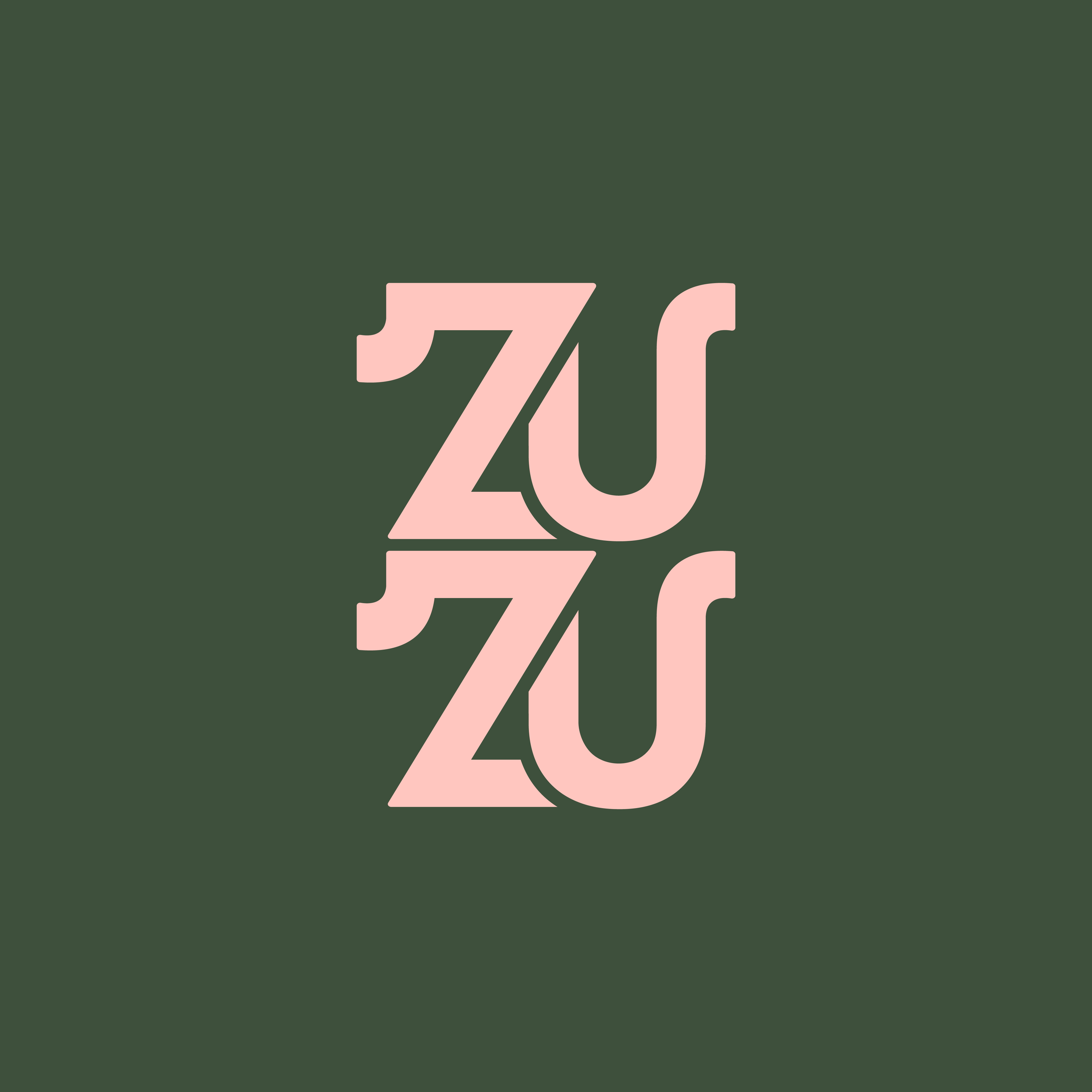 Zuzu - Finger food brand — Design by Akshata