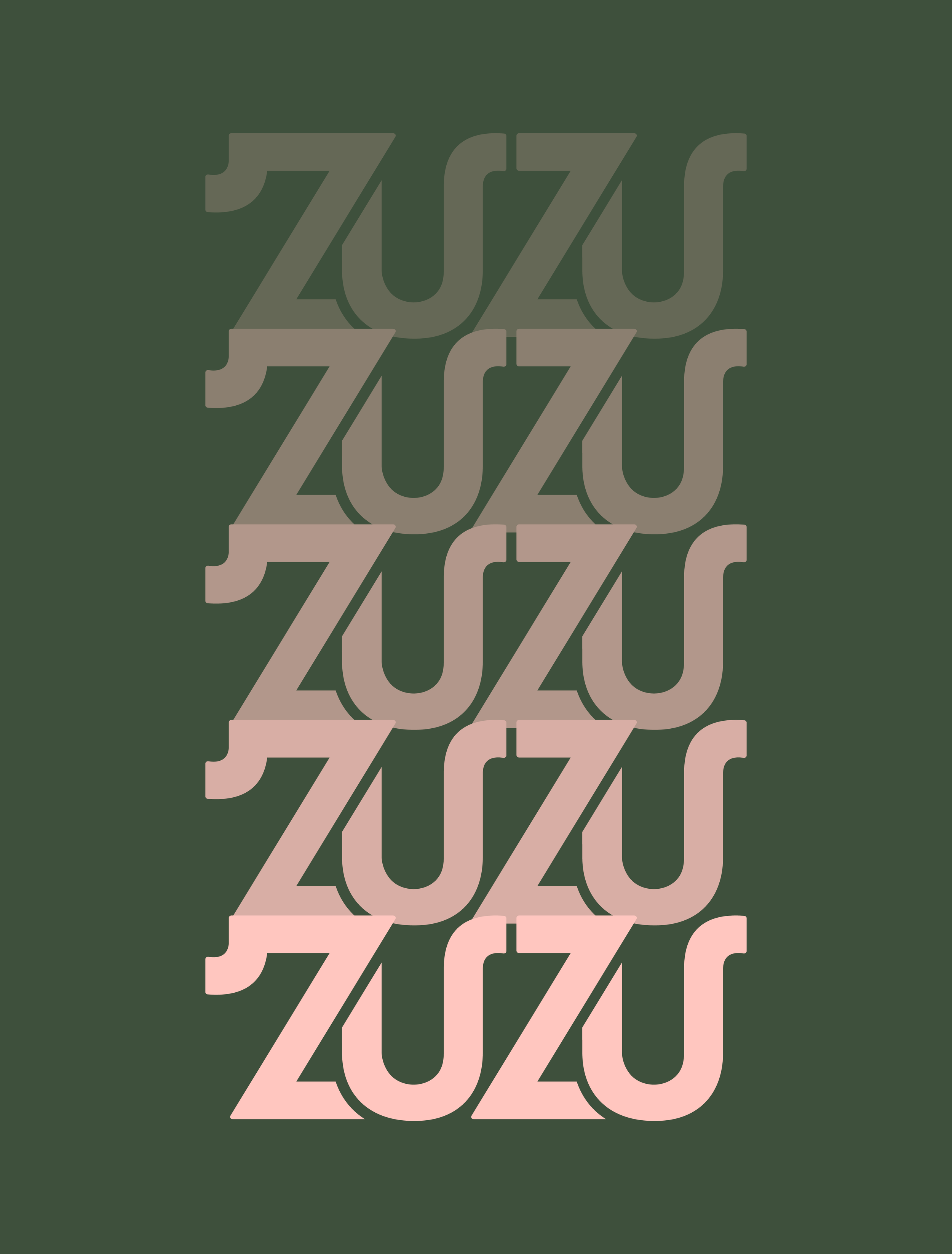 Zuzu - Finger food brand — Design by Akshata