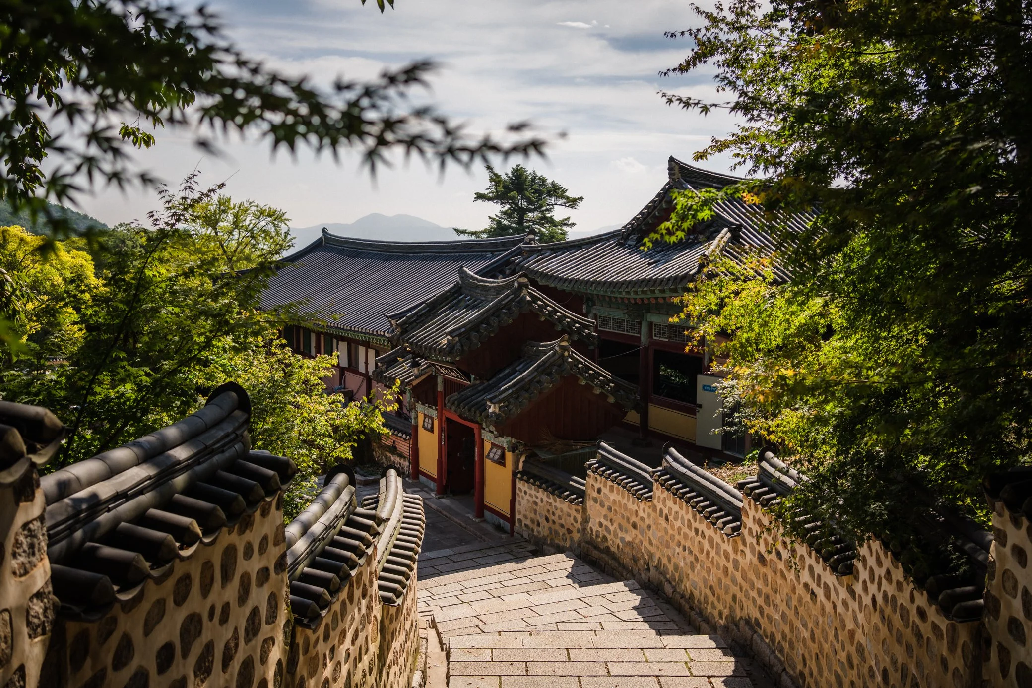 12 Unique Korean Bucket List Experiences — Erin Henderson