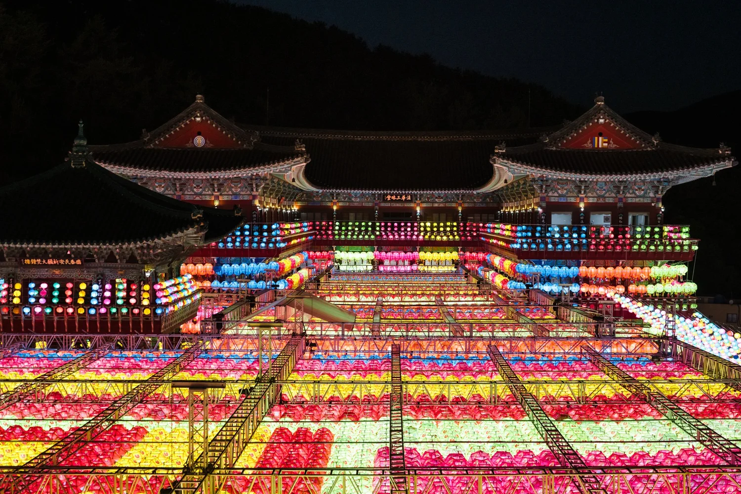 Samgwangsa Temple Lotus Lantern Festival — Erin Henderson