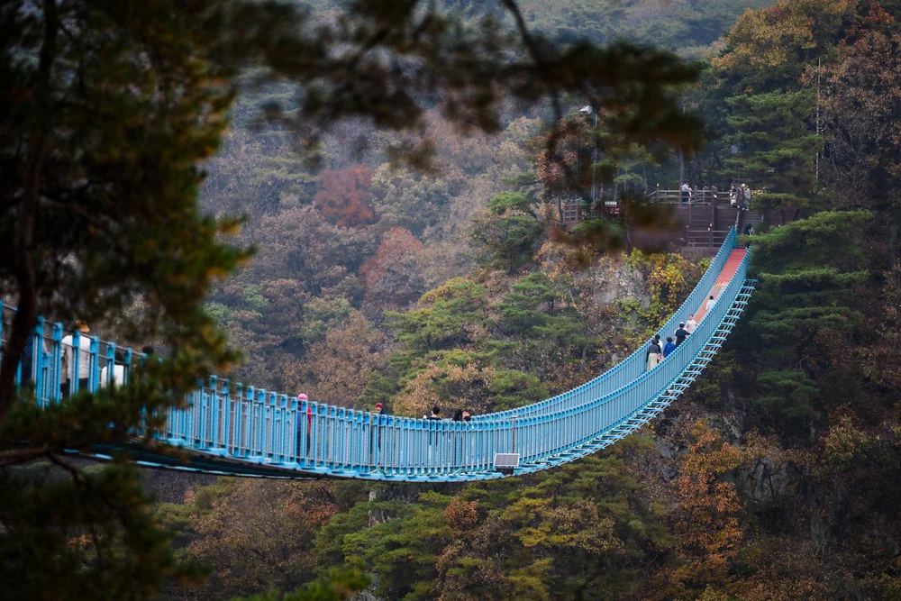 Wonju Sogeumsan Suspension Bridge 원주 소금산 출렁다리 — Erin Henderson