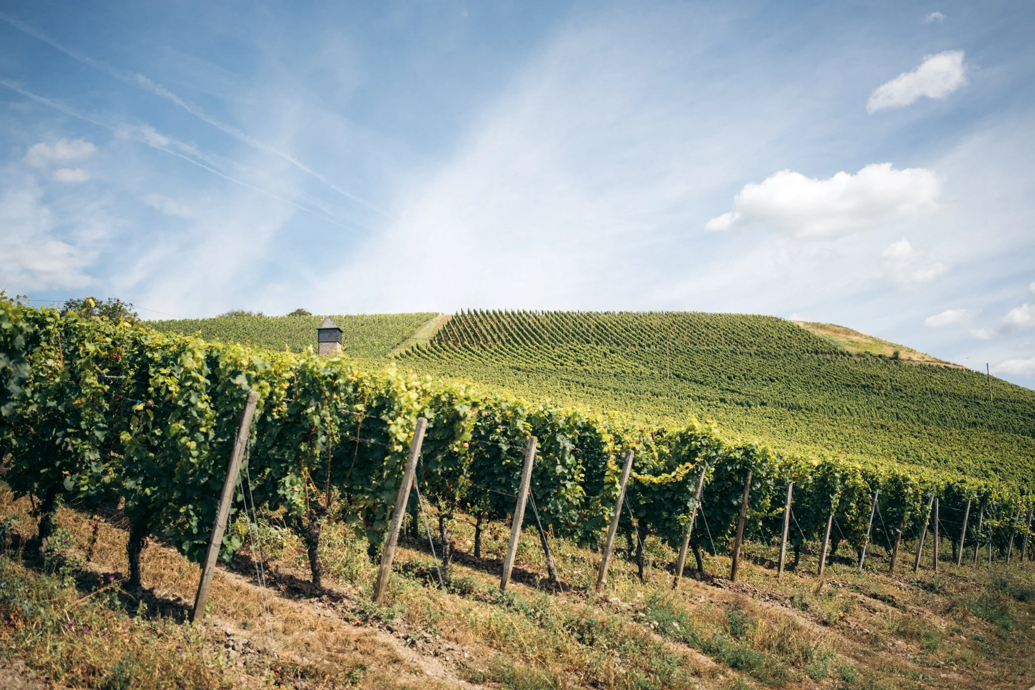 Gut Hermannsberg Winery in Nahe Valley — Erin Henderson