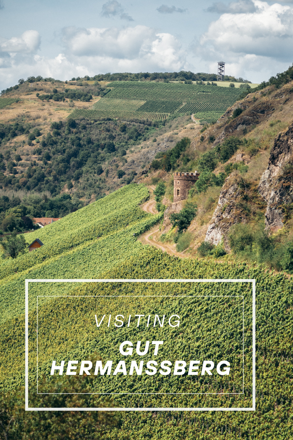 Gut Hermannsberg Winery in Nahe Valley — Erin Henderson