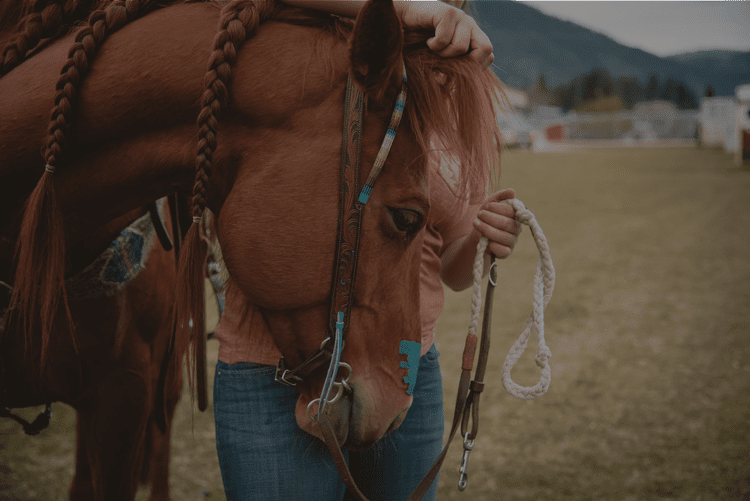 Nordic AutoFeed - Automatic, Weight-Based Hay Feeder