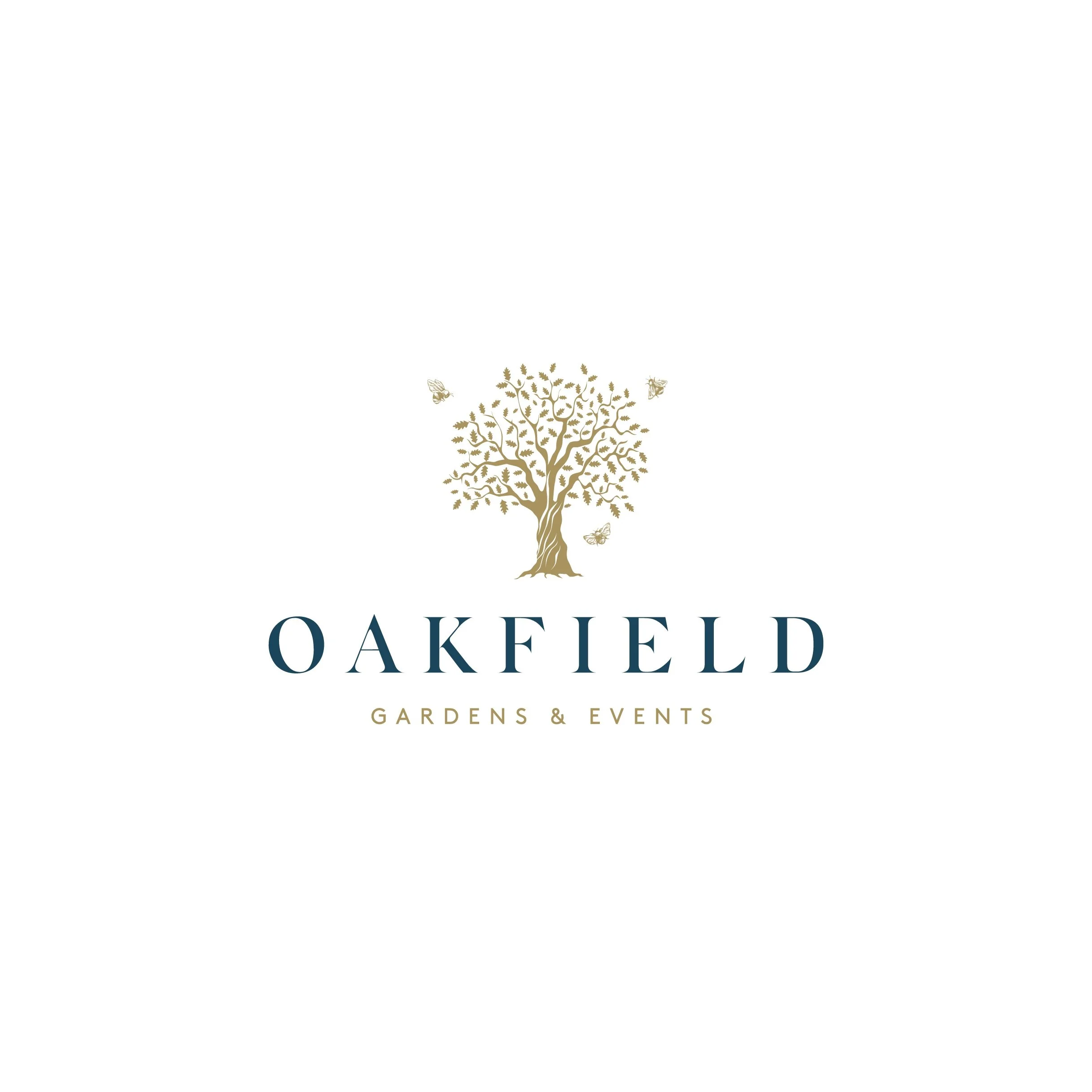 Oakfield Ventures — The River School