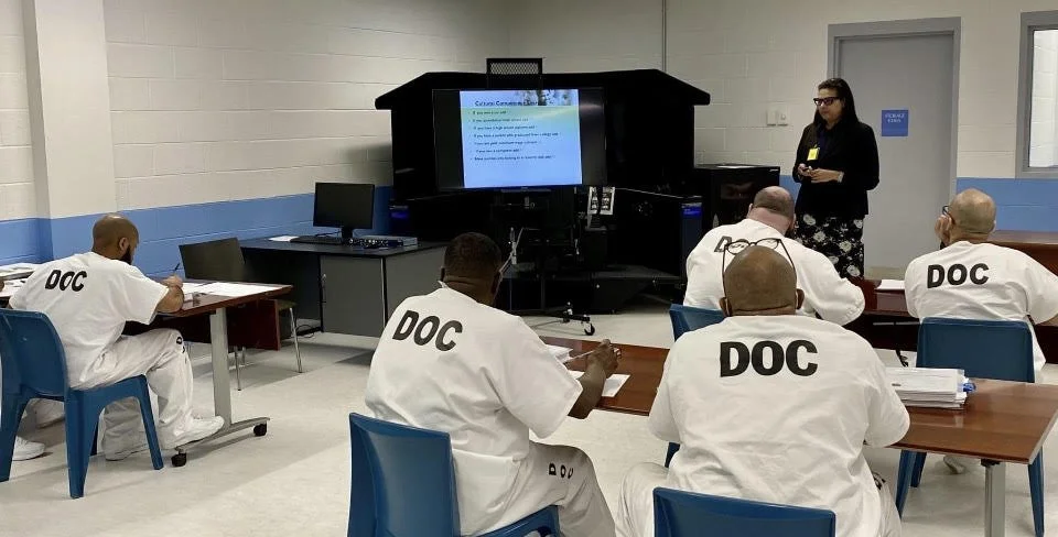 Peer Services — Mental Health Association in Delaware