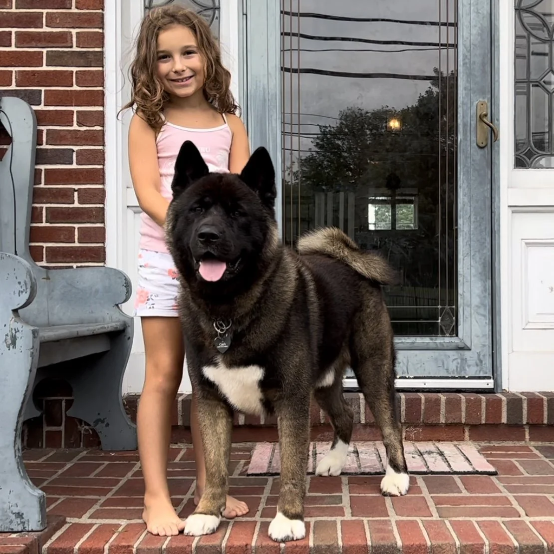 Cash — Main Street Akitas