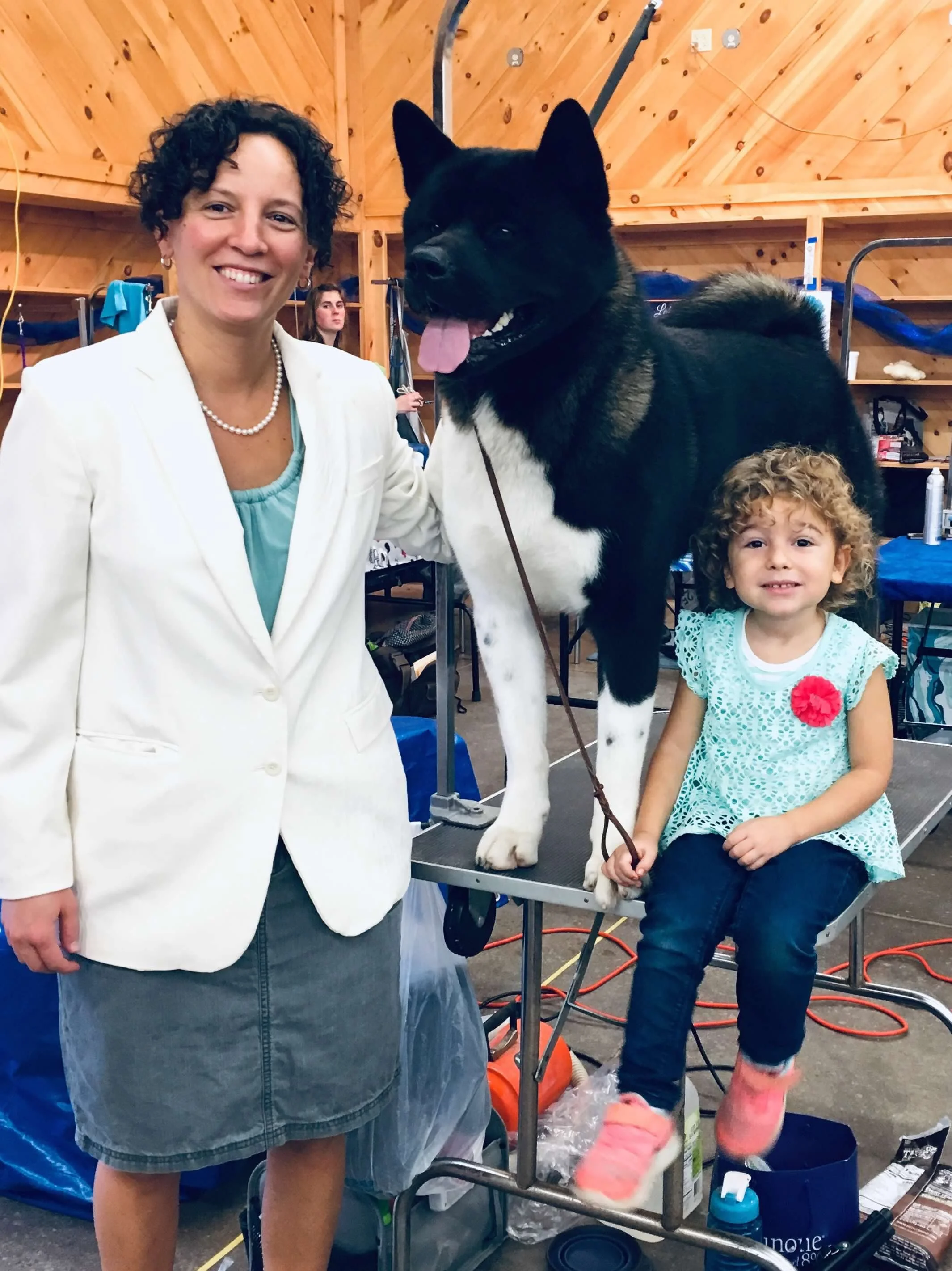 Bear — Main Street Akitas