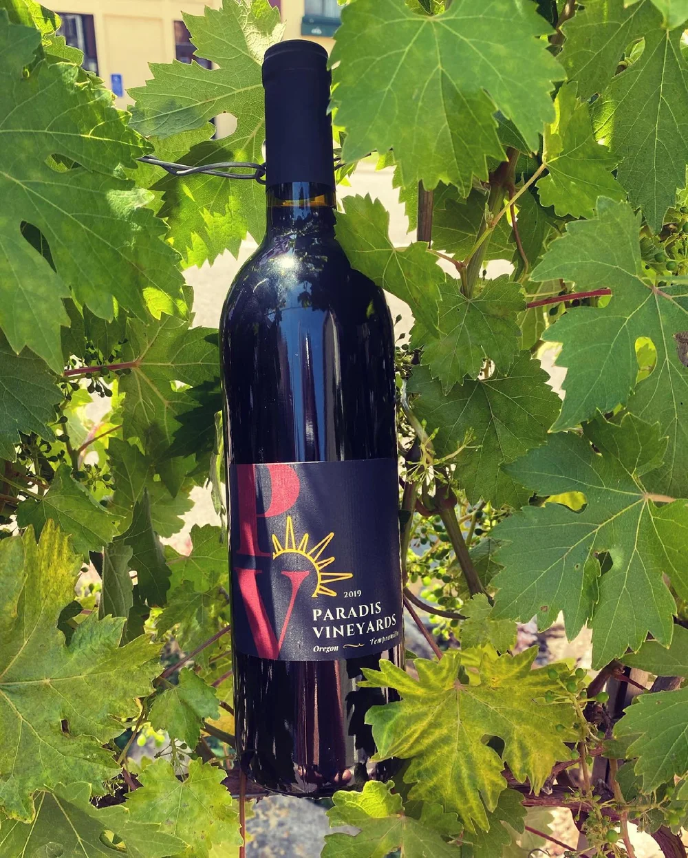 General 1 — Paradis Vineyards