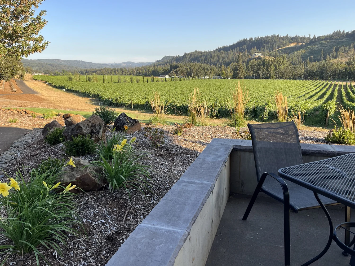 General 1 — Paradis Vineyards