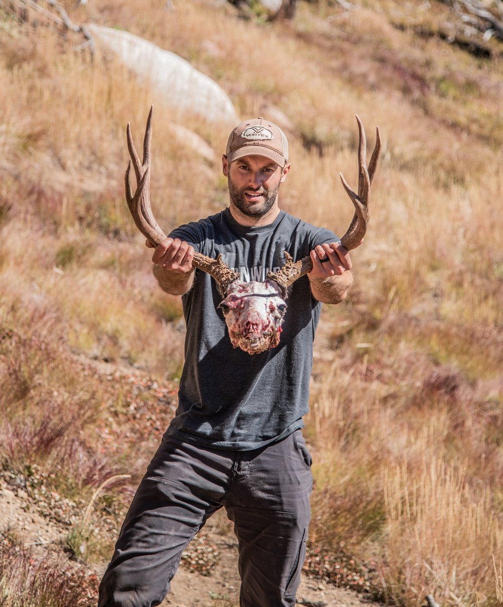 DIY European Skull Mounts — Pacific North Wild