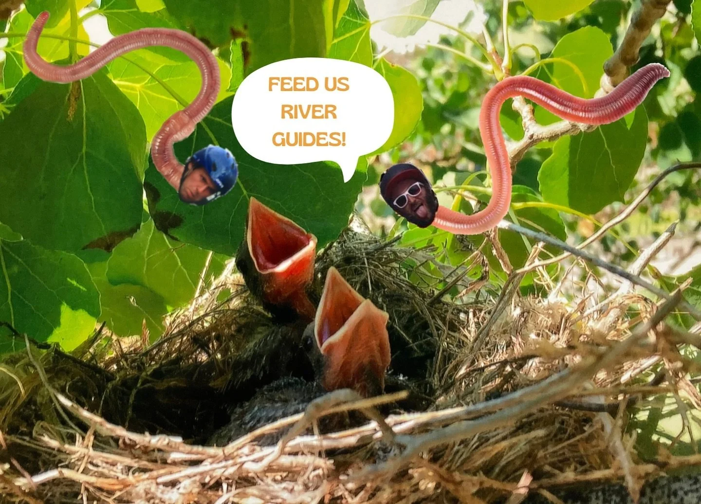 Methow Rafting | Family River Trips