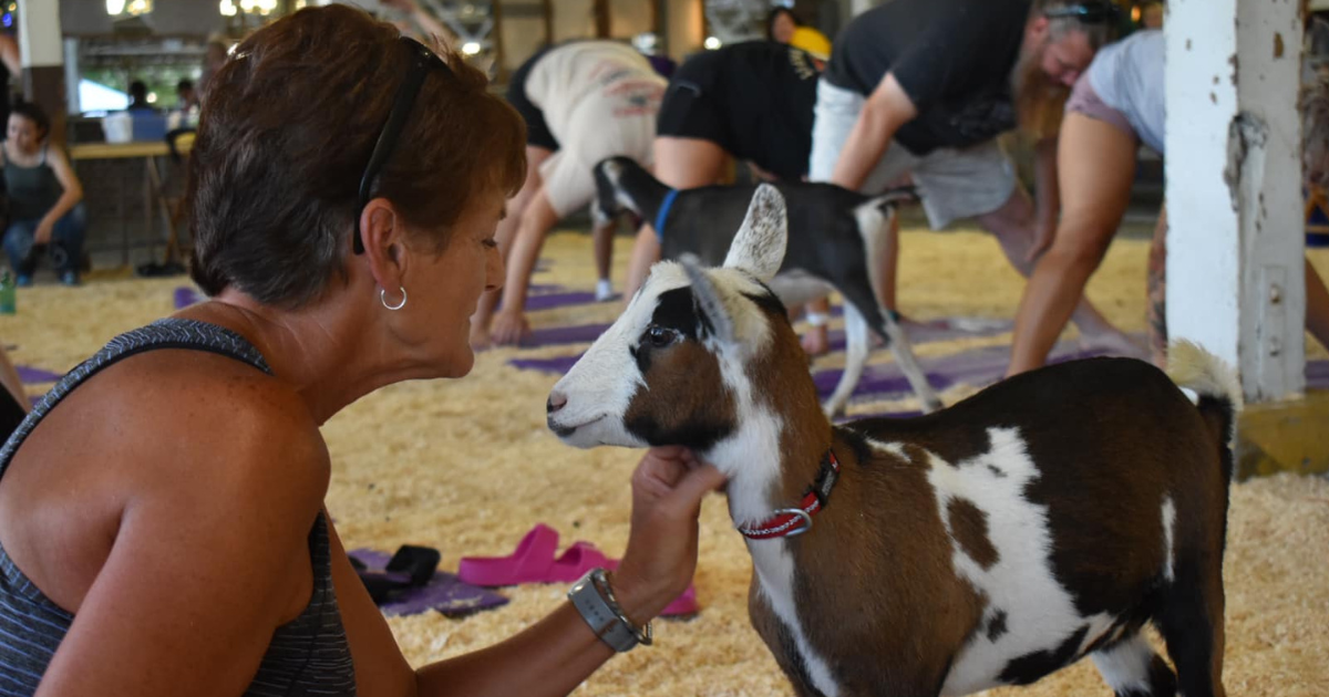 Goat Yoga - Iowa State Fair — Iowa Healthiest State Initiative