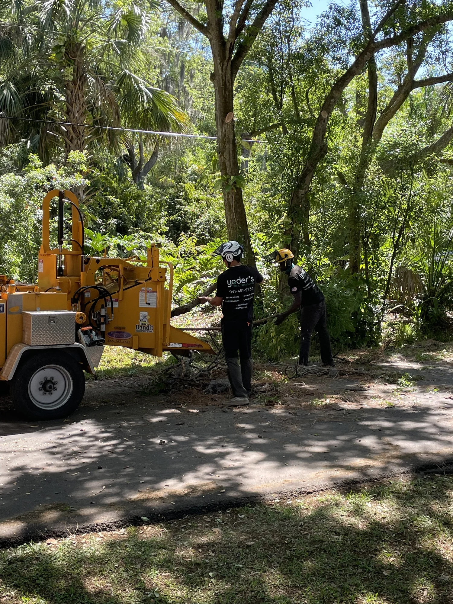 Yoders Tree and Landscaping