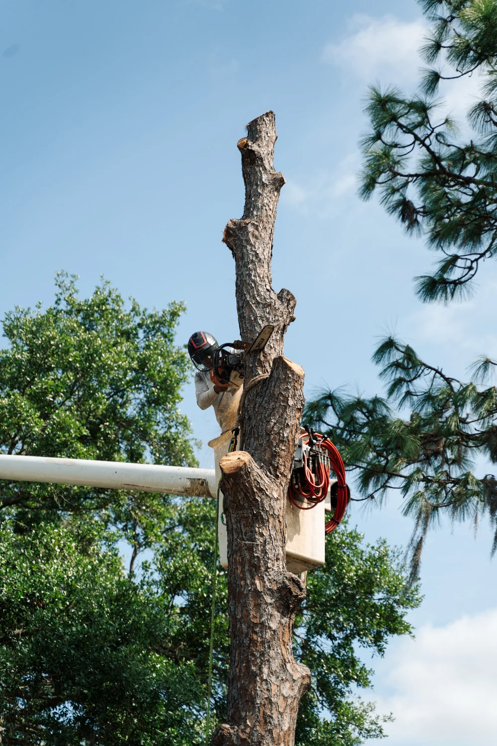Yoders Tree and Landscaping
