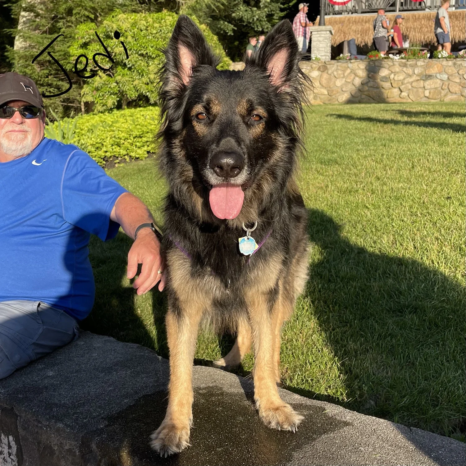 About — Sam Kachmar Architects