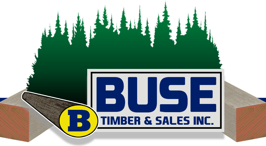 Lynx Equity Income Trust