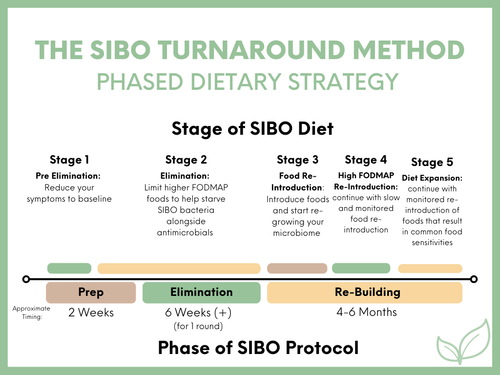 The SIBO Diet: A Nutritionists Guide for an Effective Treatment ...