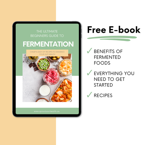 The Ultimate Beginners Guide to Fermentation — Sprout Your Health