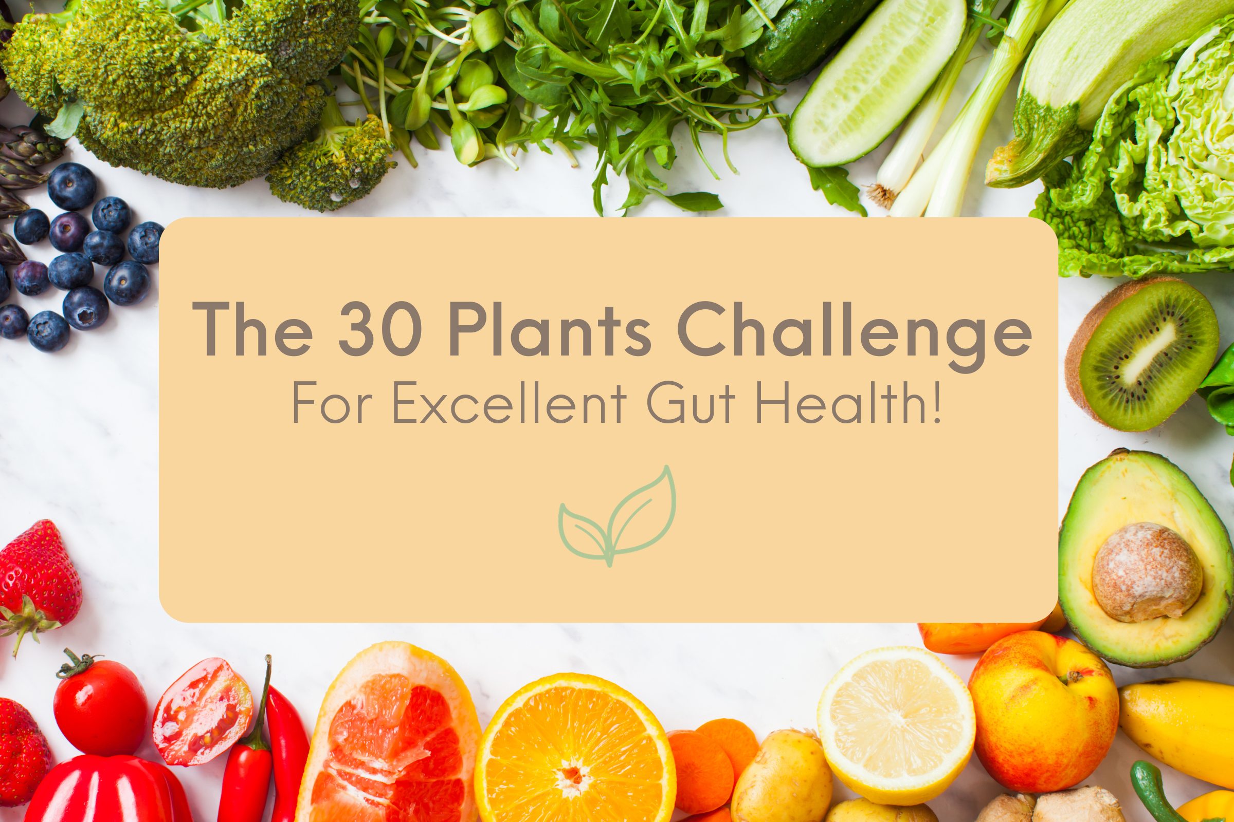 The 30 Plants Challenge for Excellent Gut Health — Sprout Your Health
