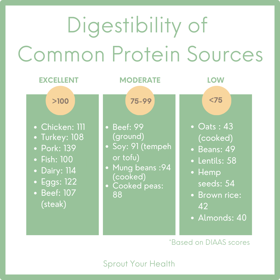 Why The Type of Protein You Eat Matters: All You Need to Know about ...
