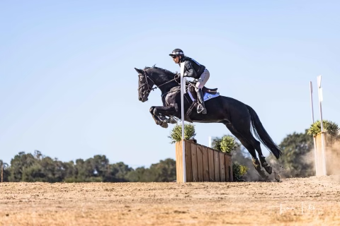 Black Diamond Equestrian