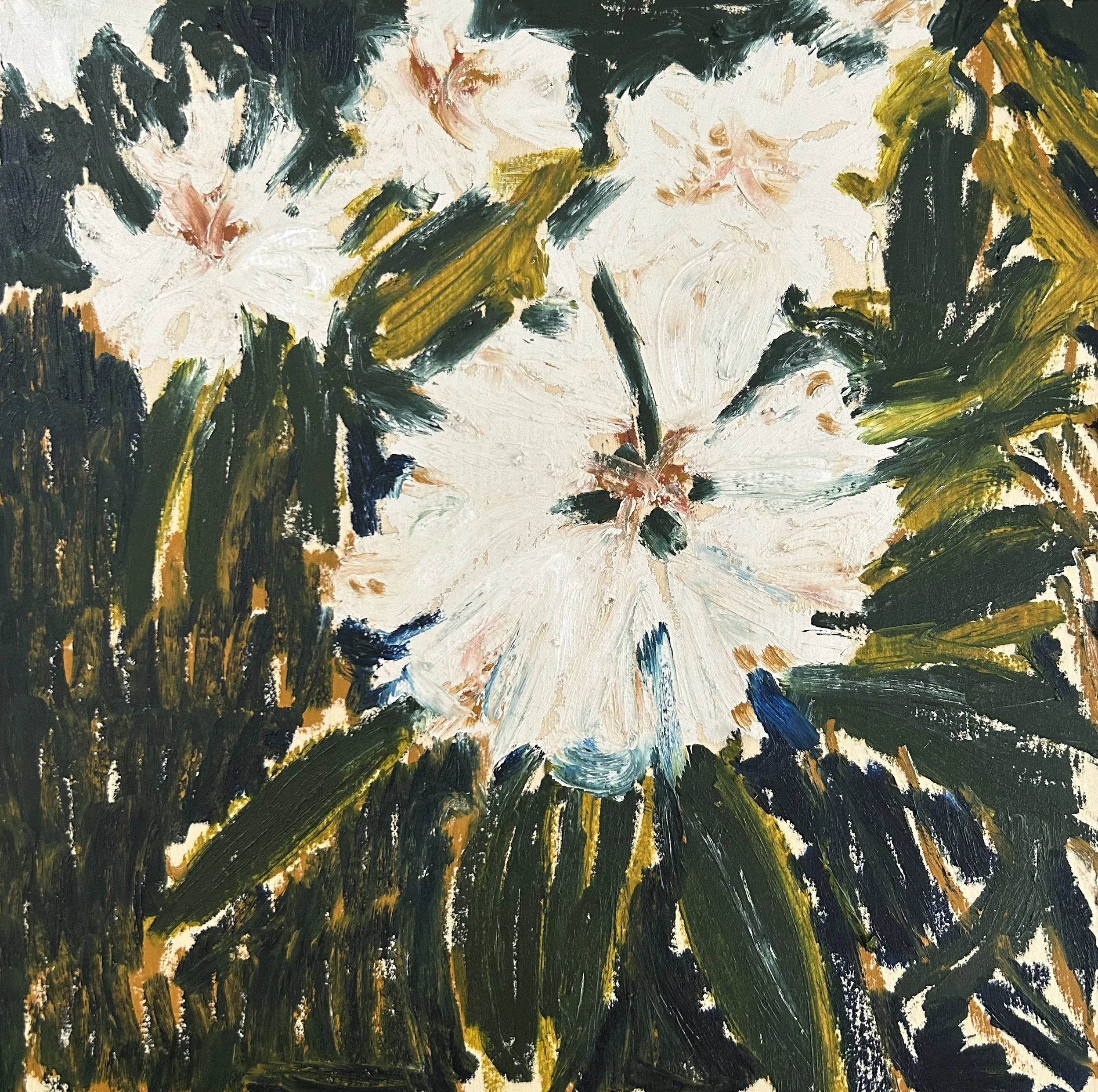 Gallery — Phoebe Stone Art