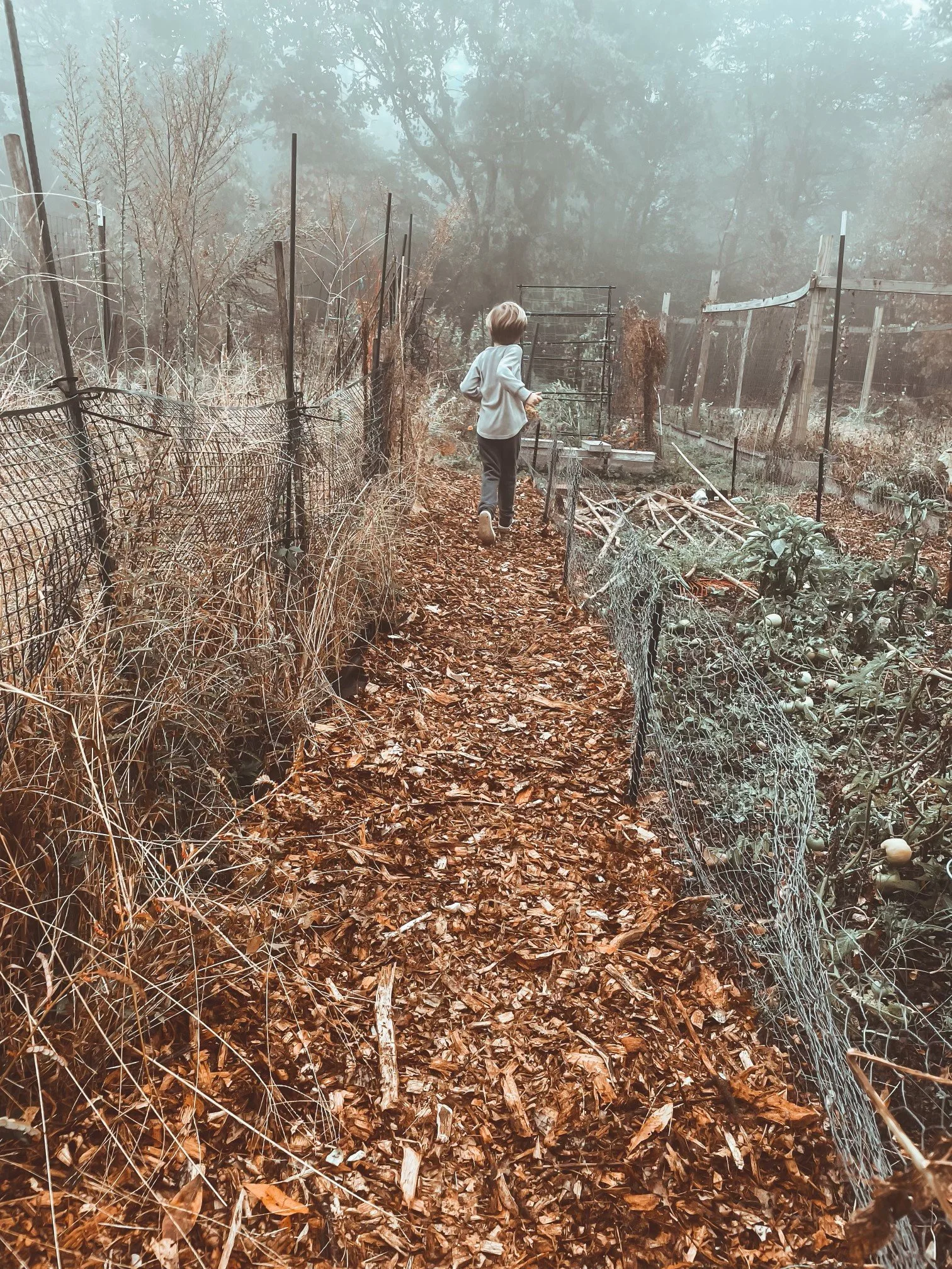 Treehouse Therapy, LLC