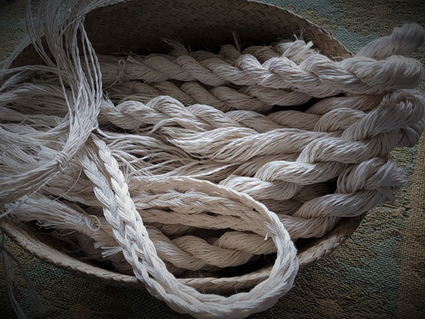 Muka Flax - Harakeke — The Haka Shop | Authentic Māori Cultural ...