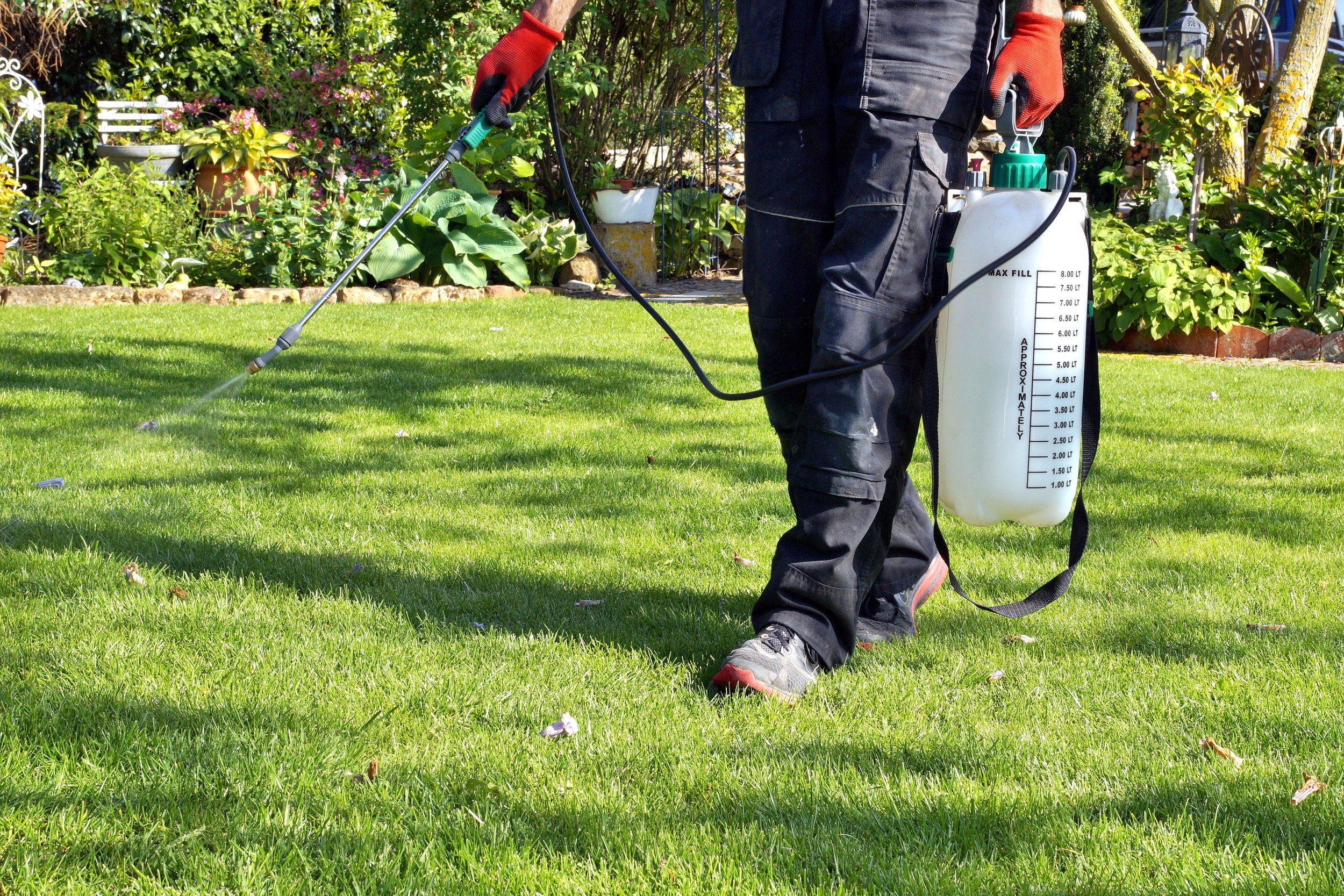 Lawn Fertilization Company Near Me | Expert Fertilization in ...