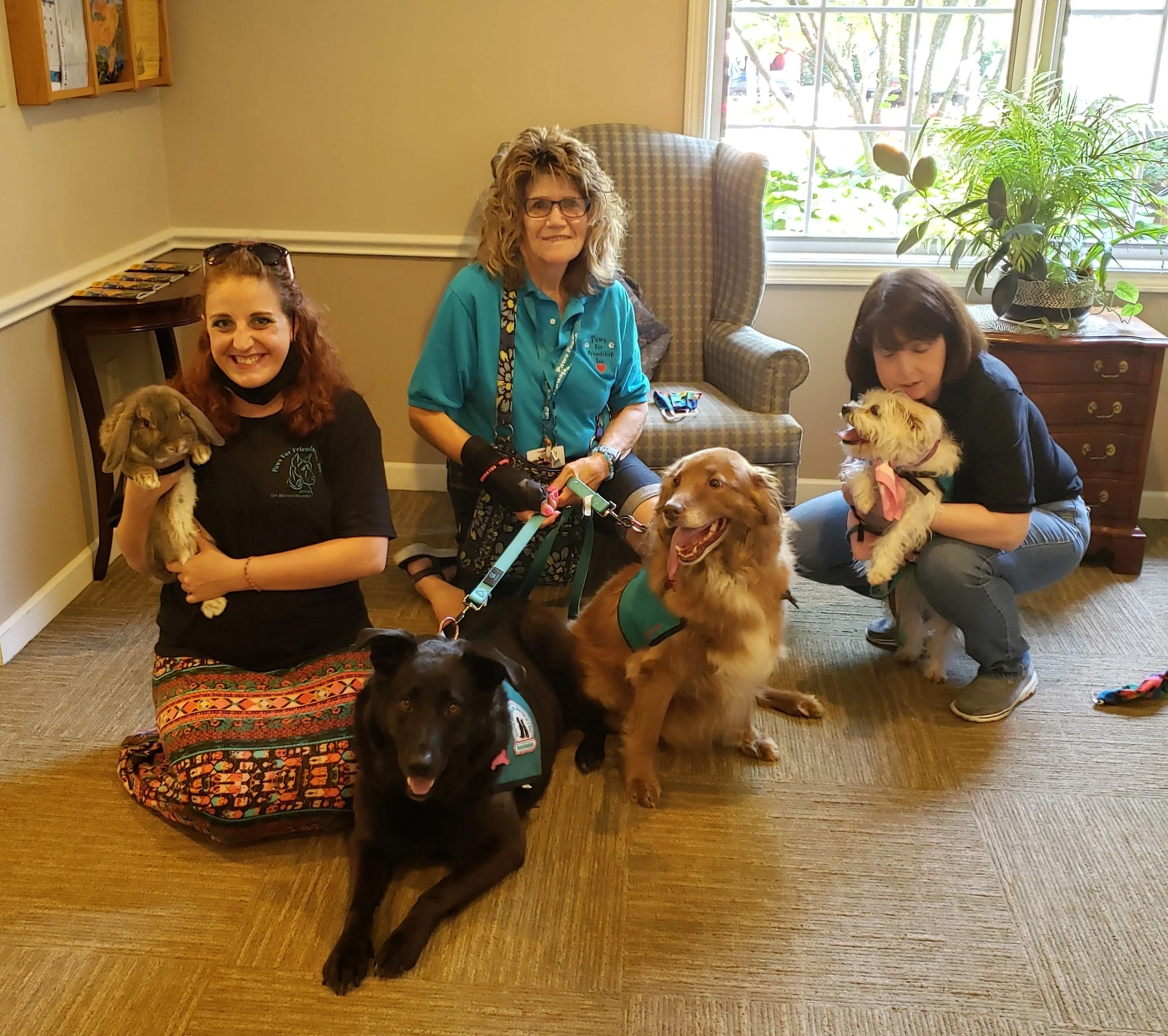 Donate — Paws for Friendship Inc.