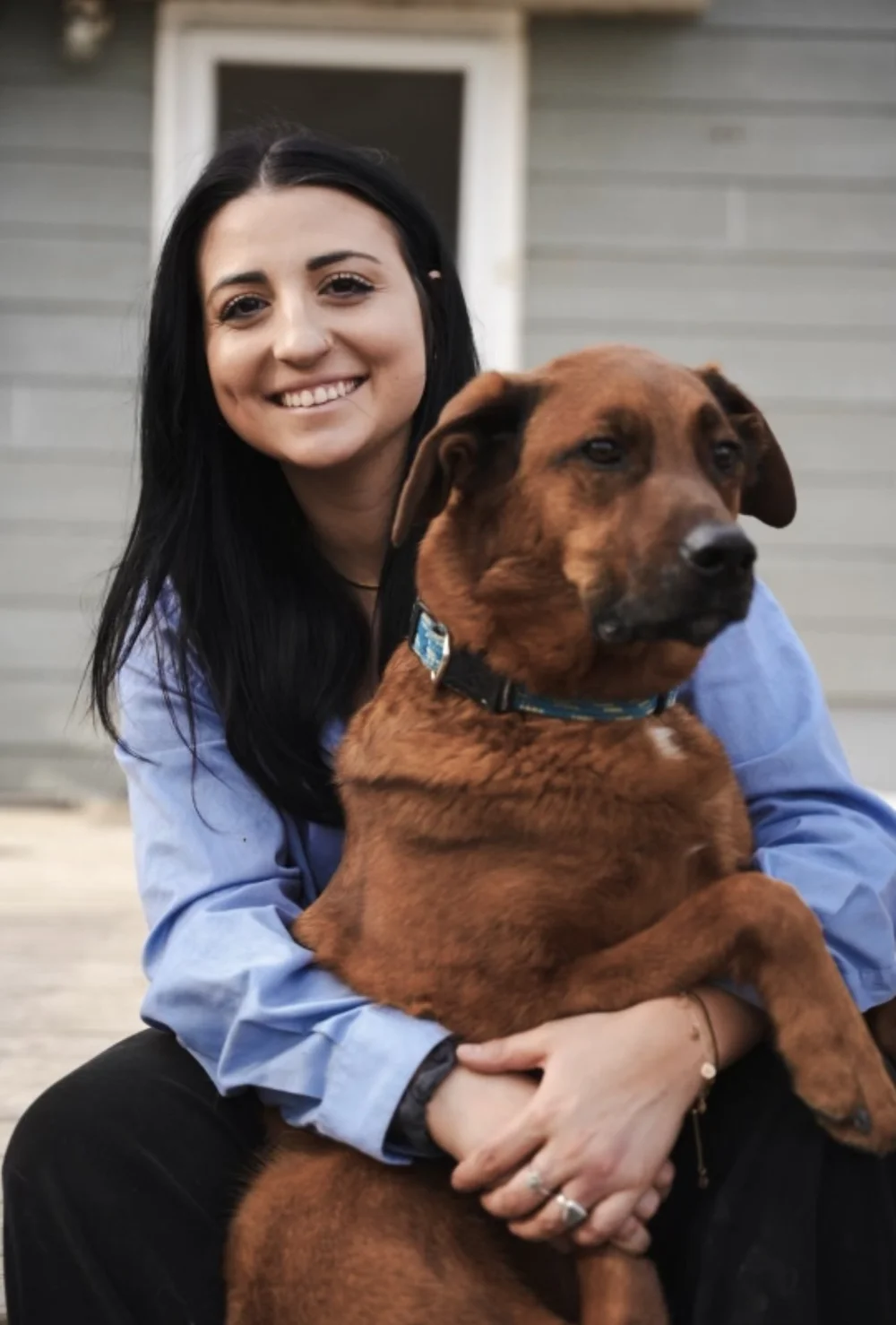 Our Team — Paws on Fraser Veterinary Hospital