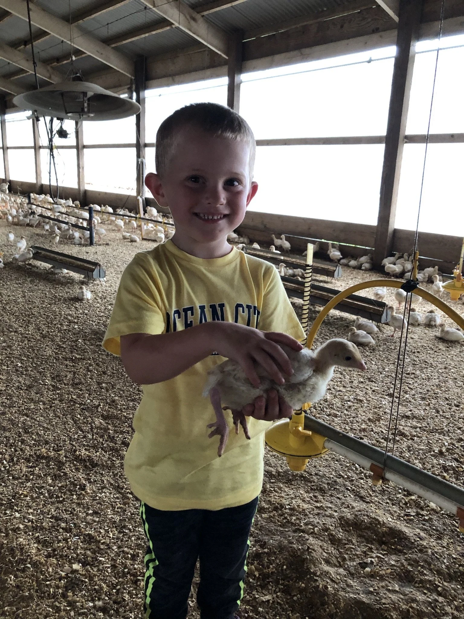Photo Gallery — Esbenshade Turkey Farm