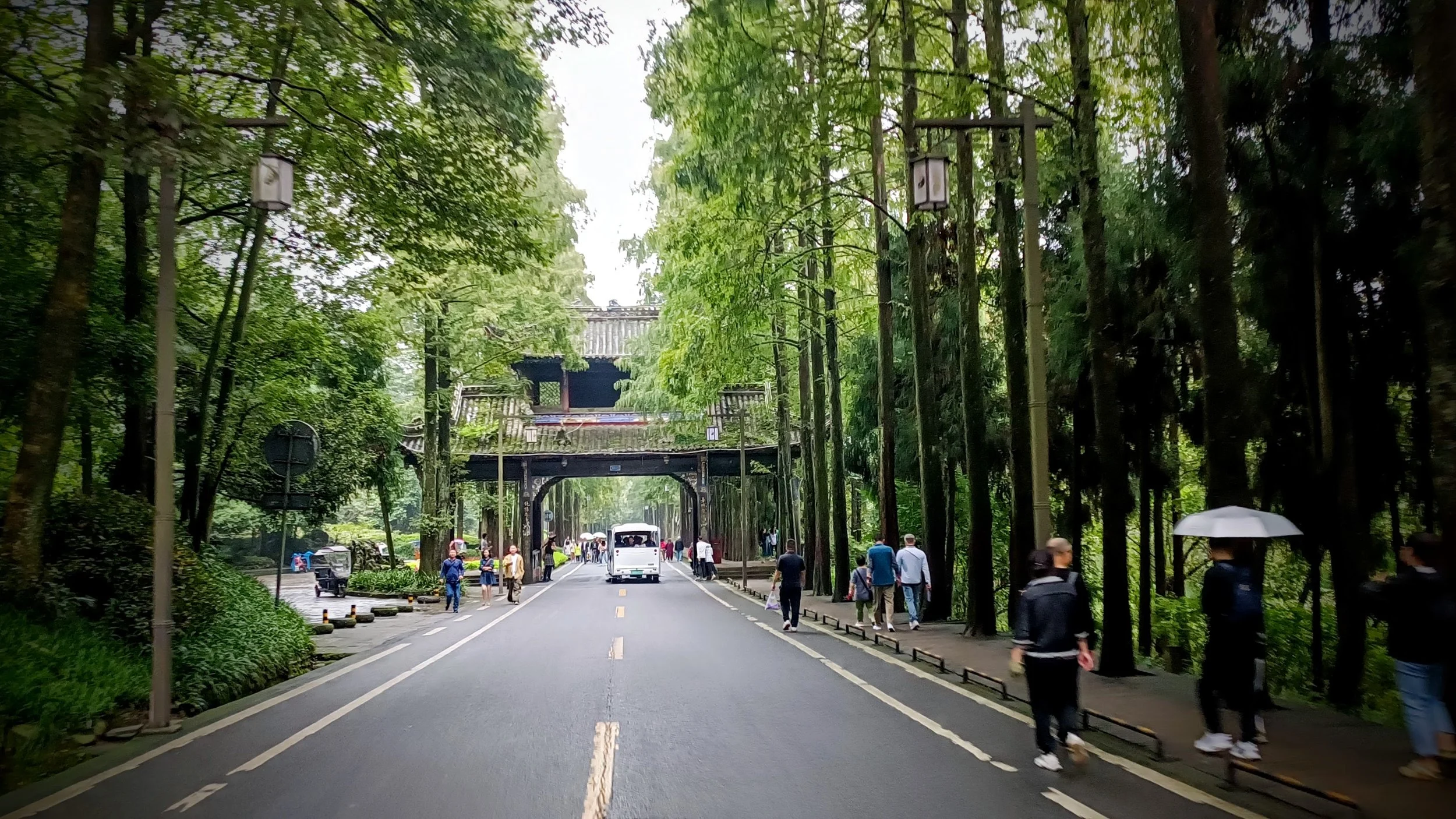 Qingcheng Shan - Sichuan Travel Guide | Travelook