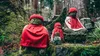 Visiting Koyasan Okunoin - Travel Guide to Japan's Largest Cemetery ...