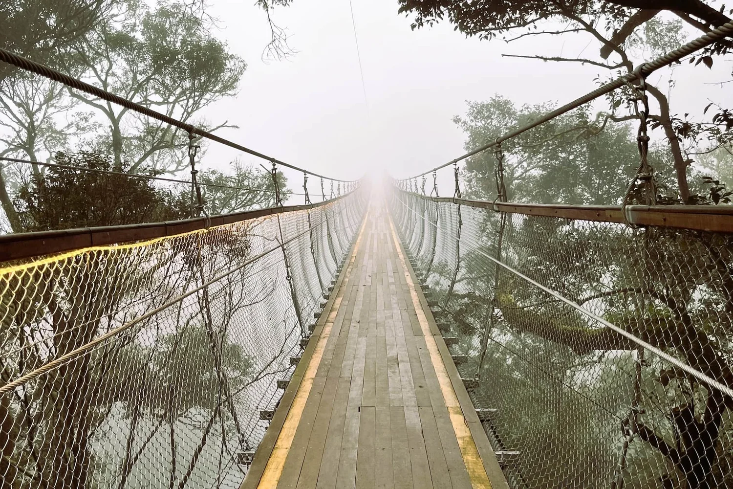 Rengganis Suspension Bridge | Visit Bandung