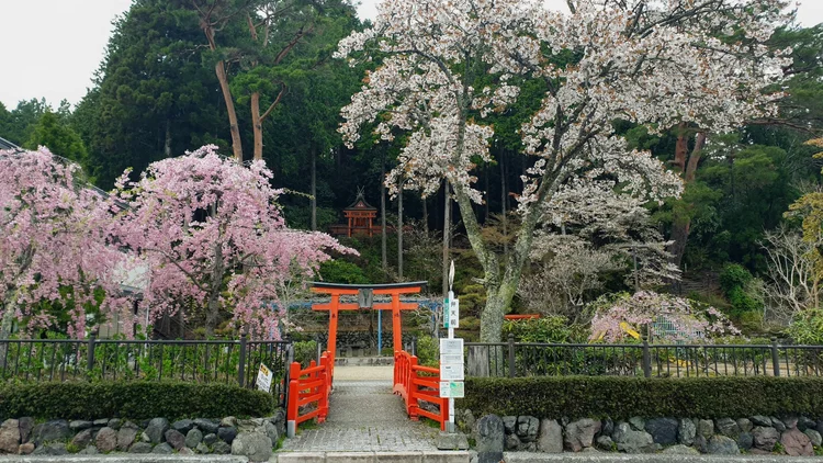 Visiting Koyasan Okunoin - Travel Guide to Japan's Largest Cemetery ...
