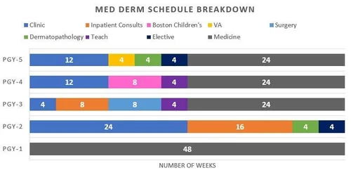 Med Derm Curriculum — Harvard Combined Dermatology Residency Training ...
