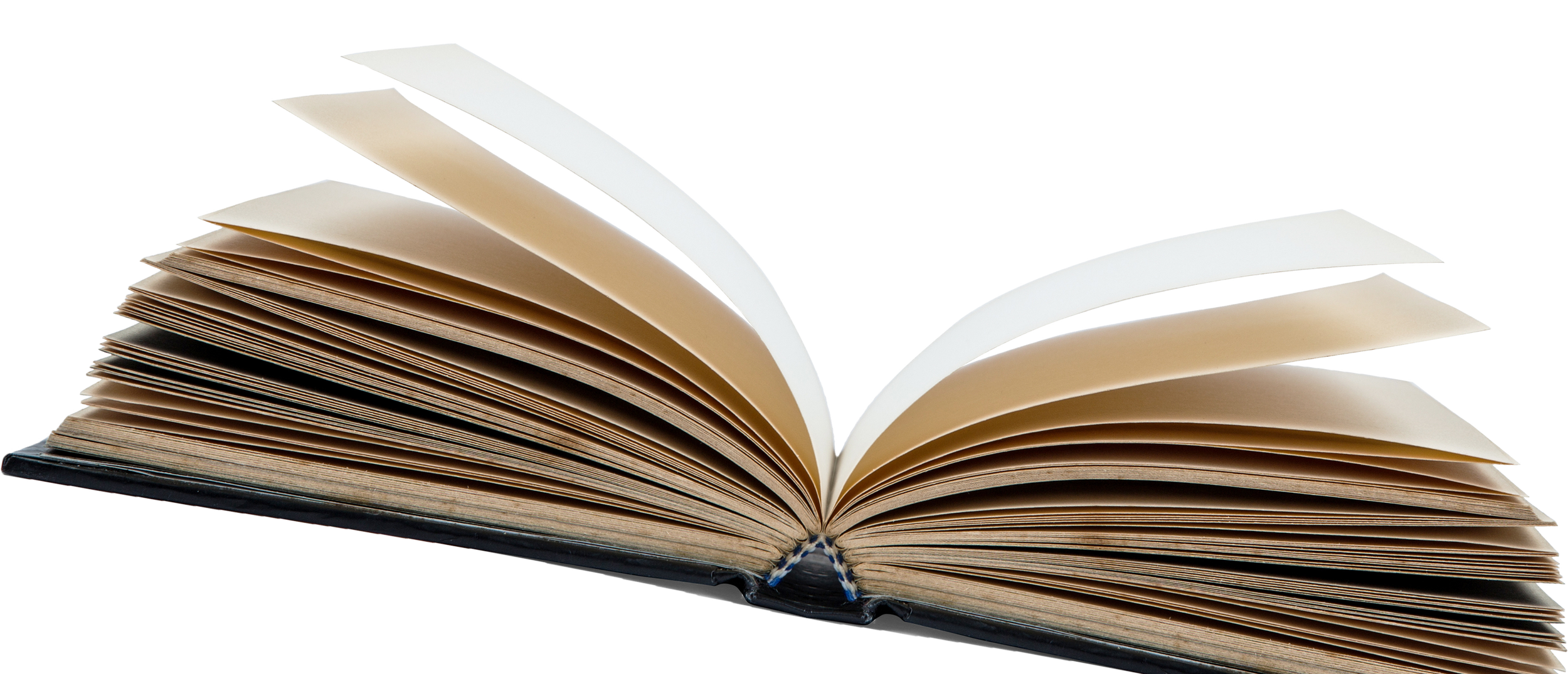The Active Reader