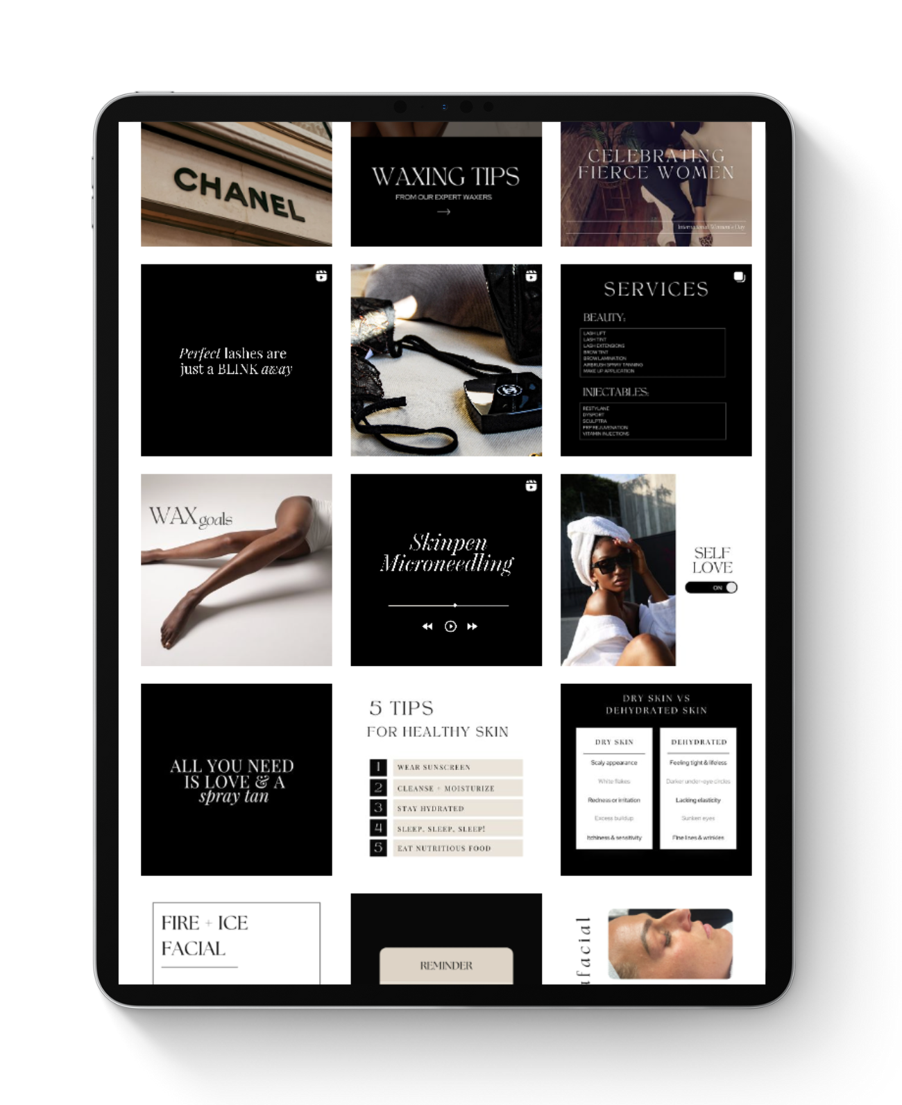 THE JUNGLE BEAUTY — Design Driven Media