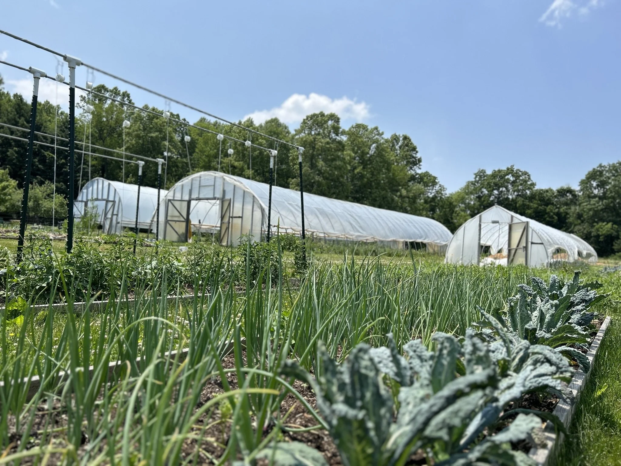 Donation Garden — Crown Point Ecology Center